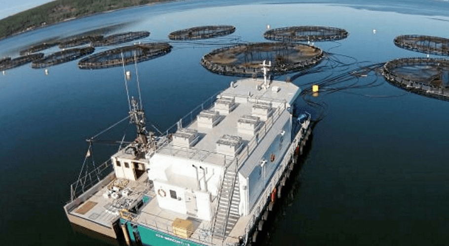 US ramping up seafood security with aquaculture – Sea West News
