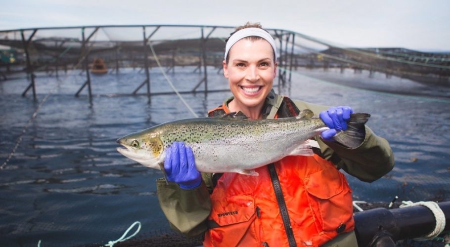 Fact checking Fin on Alaskan salmon ranching - Sea West News
