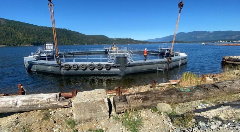 The Truth About Land Based RAS and Water Usage - Sea West News