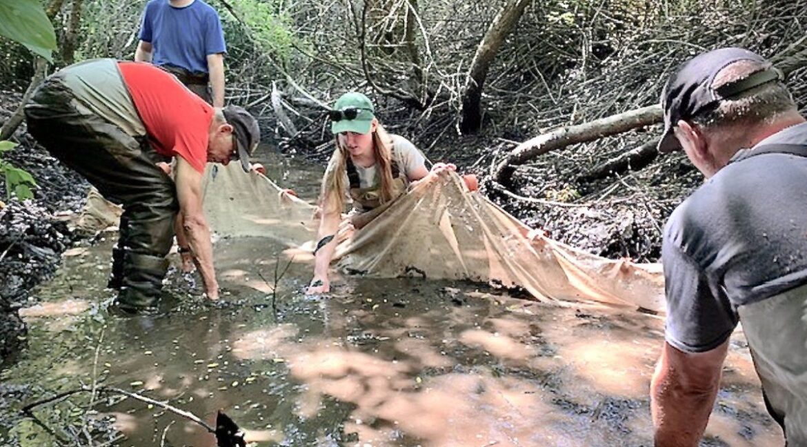The truth about red dye in farmed salmon - Sea West News