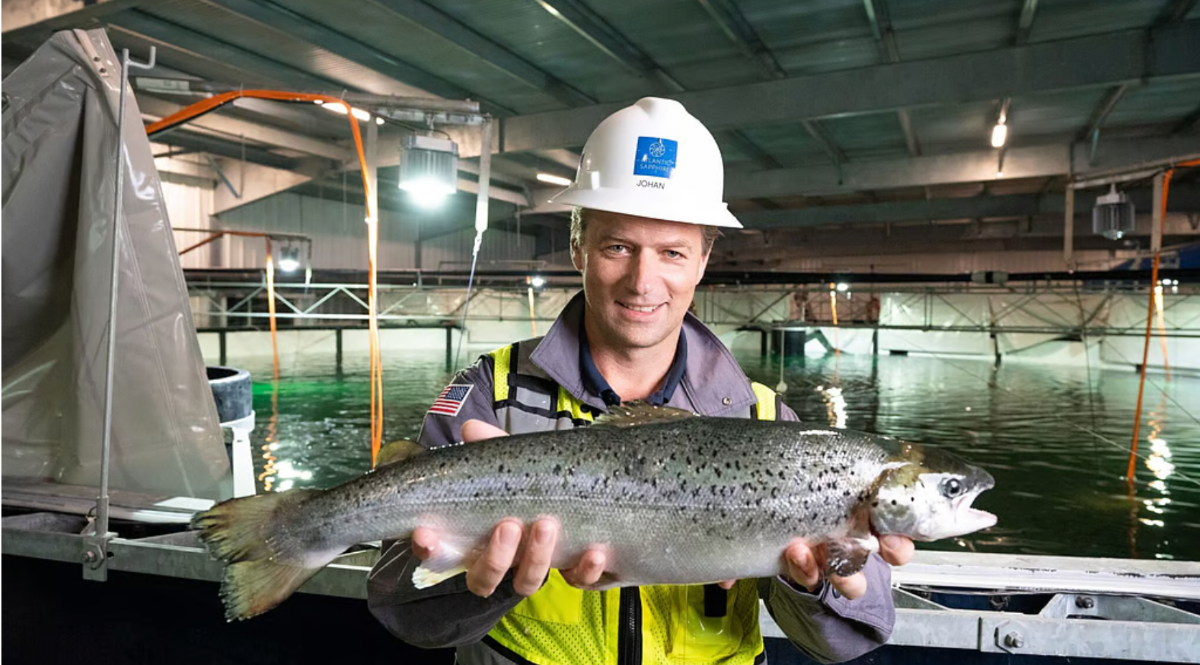 New Report Shreds Fantasy of Large-Scale Land-Based Salmon Farming in B ...