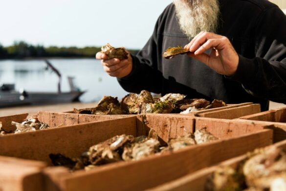 Aquaculture: Billion-Dollar Deal Reshapes Canada’s Salmon Farming ...